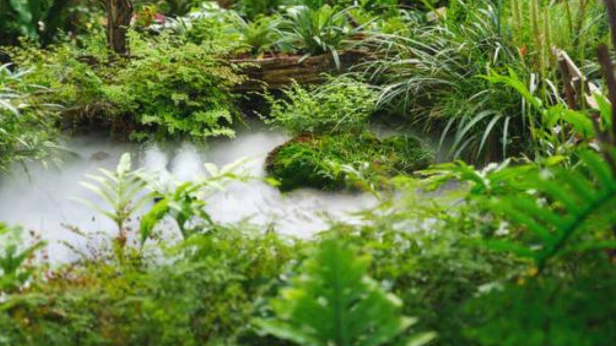 Advantages of Gardening with Dry Ice – Baker's Dry Ice